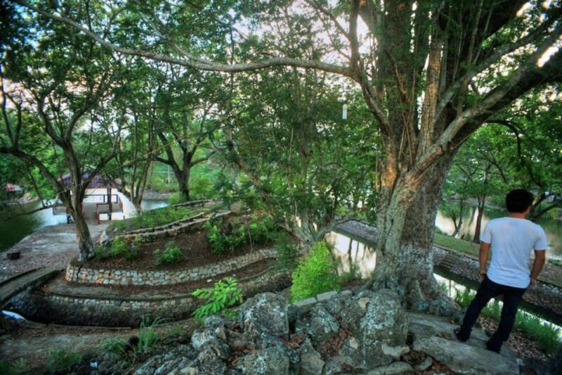 From Vung Tau: Nui Dat, Long Tan, Long Phuoc tunnel - FAQ