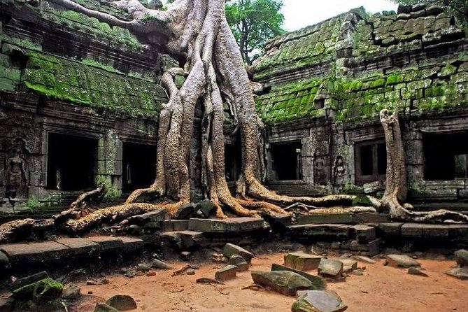 Full Day Angkor Complex by Tuk Tuk - (Optional Sunrise) - Frequently Asked Questions