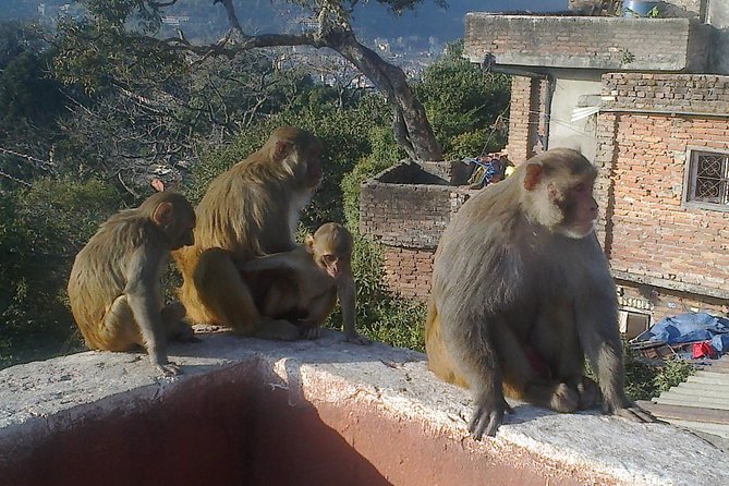 Full Day Kathmandu City Sightseeing Tour of UNESCO Heritage Sites - FAQs
