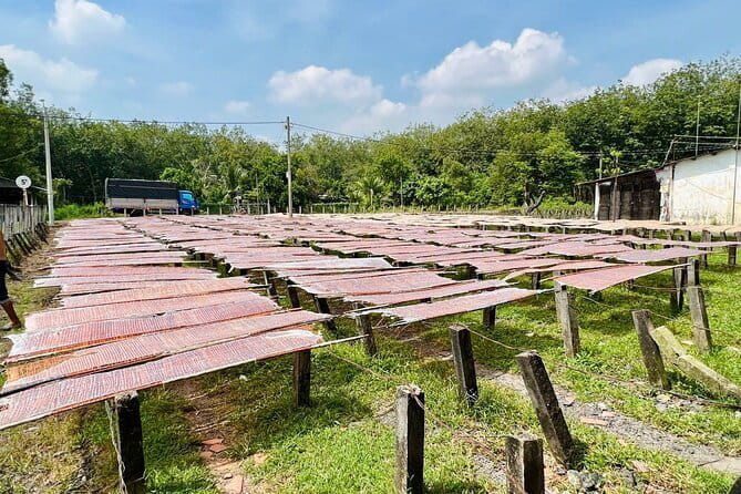 Full-Day Private Bike Tour of the Cu Chi Tunnels with Lunch - Who Should Consider This Tour?