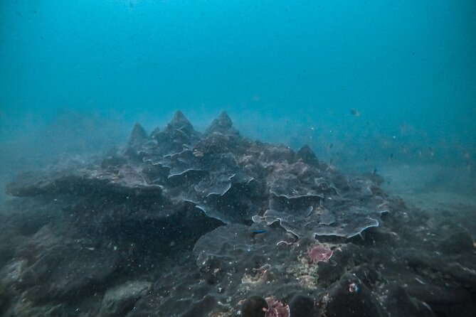 Fun Dives For Certified Divers - Final Thoughts