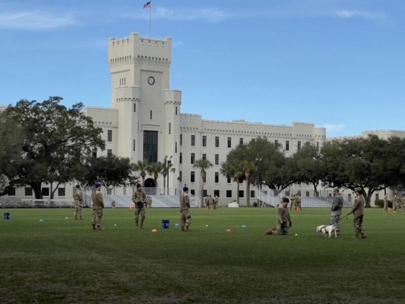 Get Out of Town! Lighthouses, Beaches and Forts Tour - The Sum Up: Is This Tour Worth It?