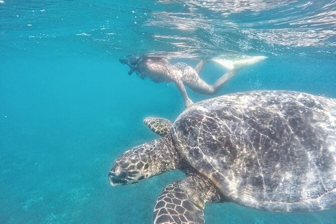 Gili Trawangan,Gili Meno& Gili Air Island:Snorkeling Day Trip Depart from Lombok - Final Thoughts