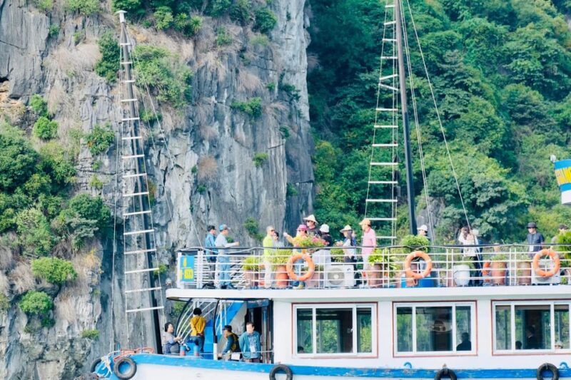 Ha Long 1 Day Luxury Small Group & Kayaking - Who Is This Tour Best For?