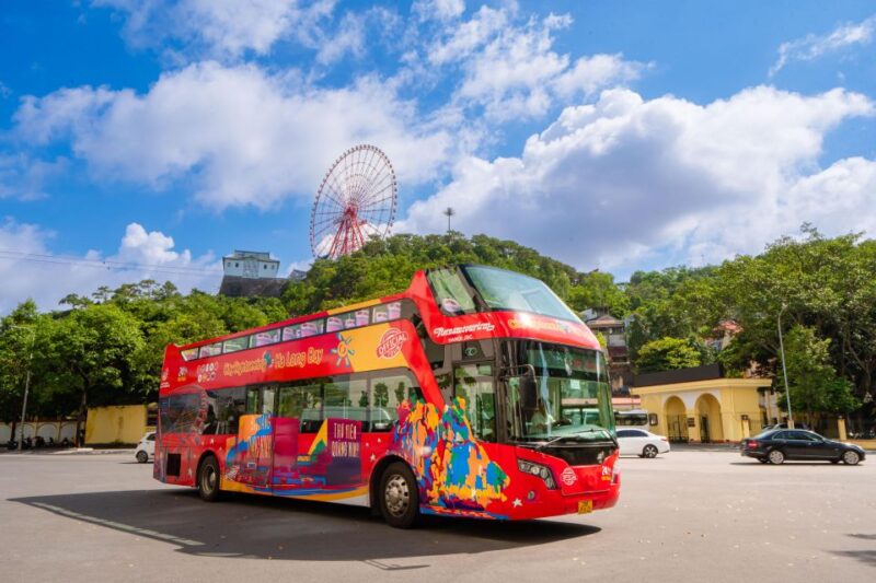 Ha Long: City Sightseeing Hop-On Hop-Off Bus Tour - Who Would Enjoy This Tour?