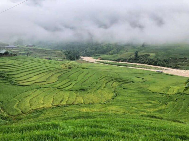 Hanoi: 3- Days Sapa- Cat Cat, Lao Chai, Glass Bridges - Real Traveler Feedback