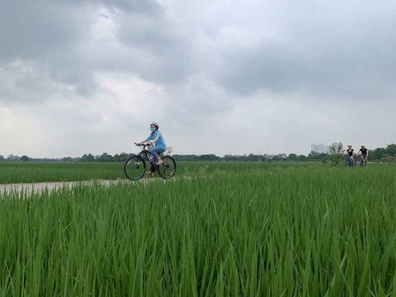 Hanoi: Bike Tour Through Hidden Gems and Banana Island - FAQs