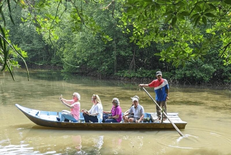 Ho Chi Minh: Can Gio Mangrove Forest Private Adventure - Final Relaxation & Return