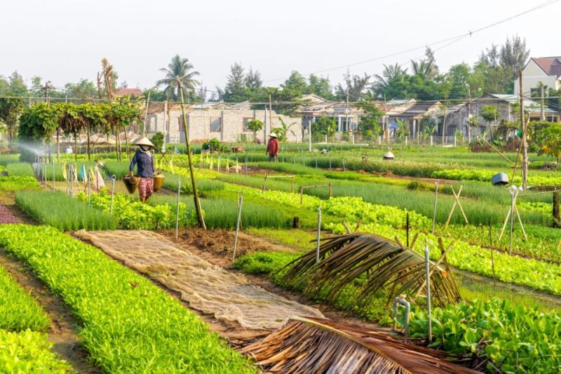 Hoi An Cooking Class & Countryside Vespa Tour - FAQ