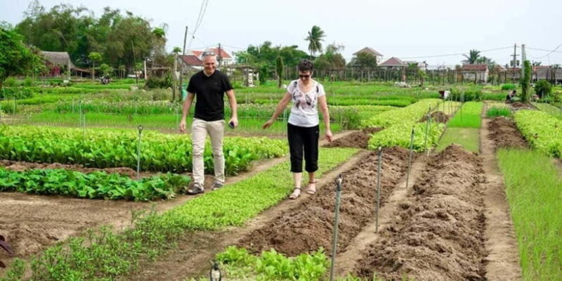 Hoi An: Countryside Biking- Cooking Class in Tra Que Village - Cooking Class: Creating Vietnamese Classics