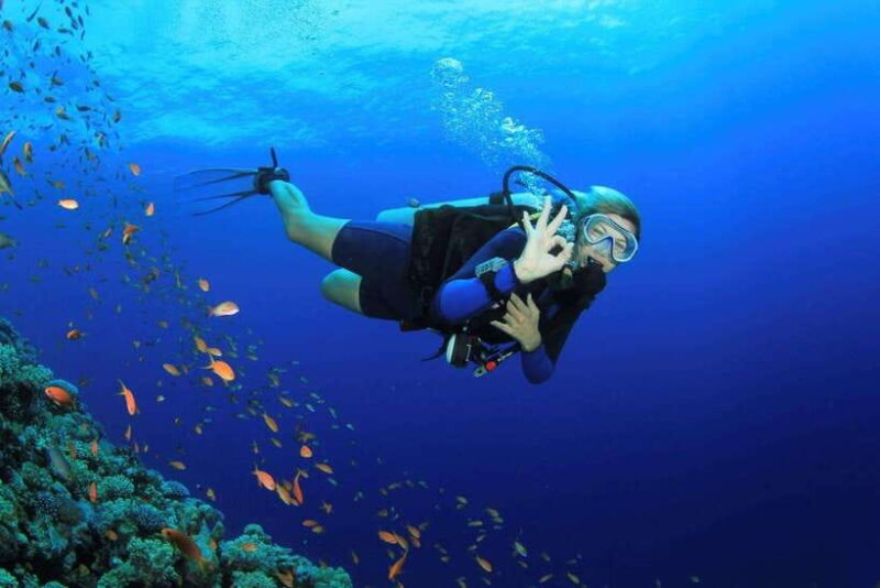 Hoi An/Da Nang:Cham Island Daily Tour-Snorkeling Experience - FAQ
