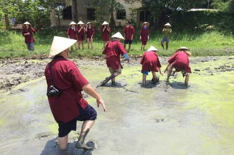 Hoi An Wet Rice Farming Tour-Basket Boat Tour Fishing-Lunch - Final Thoughts: Who Will Love This Tour?