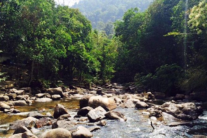 James Bond Island Sightseeing Tour by Longtail Boat from Phuket - The Sum Up