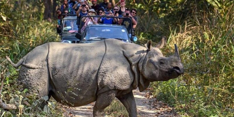 Kathmandu: 3 Days Luxury Chitwan Tour with flights - The Sum Up