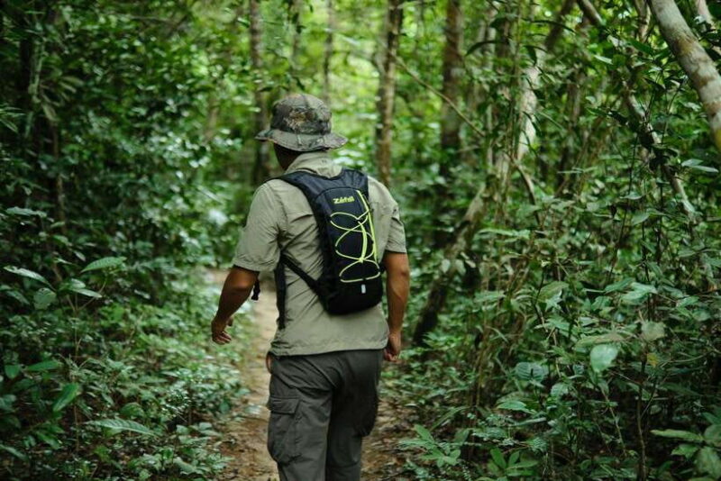 Khao Lak: Private Khao Sok Jungle Safari with Bamboo Rafting - FAQ