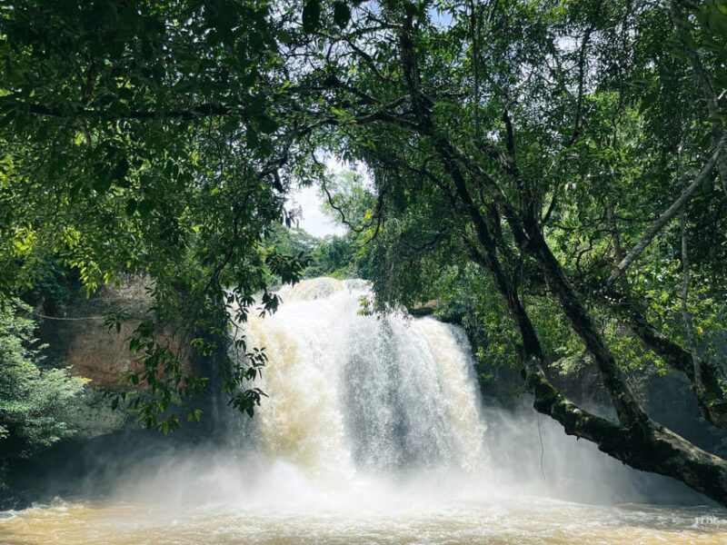 Khao Yai: Private Custom Tour with Driver From Bangkok - The Sum Up