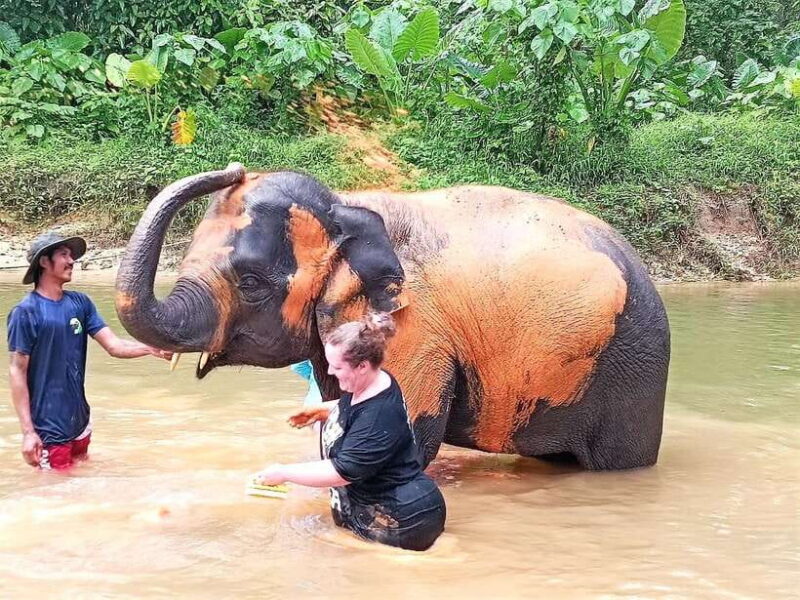 Khaolak: Elephant Interaction in Sanctuary with Bamboo Raft - Final Thoughts