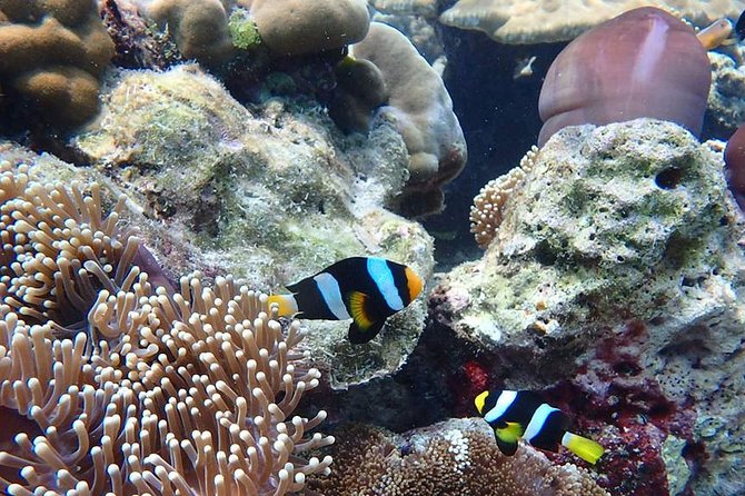 Koh Ngai, Koh Muk + Emerald Cave Snorkeling Tour by Classic Longtail Boat - FAQ