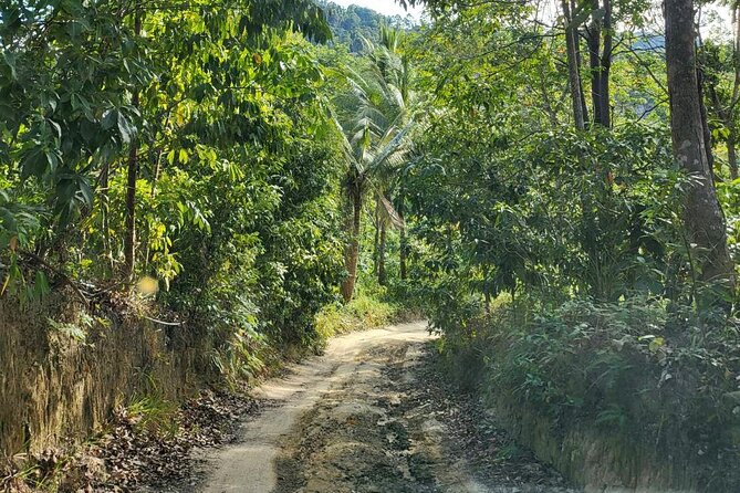 Koh Samui 4WD Jeep Jungle Tour - Who is This Tour Best For?