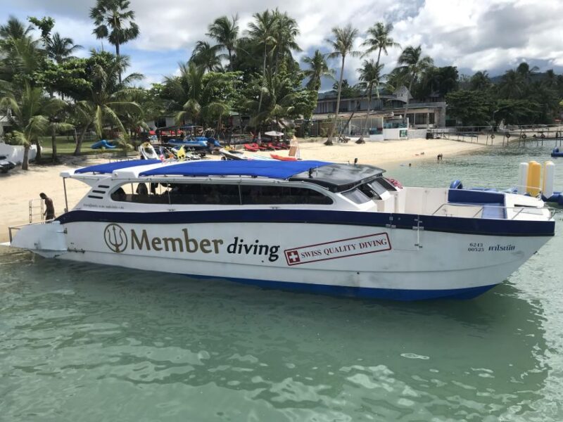 Koh Samui: Dive Trip Experience in Koh Tao - The Sum Up