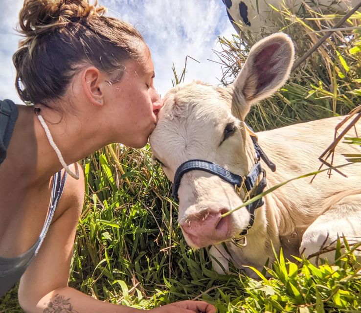 Laupahoehoe: Farm Animal Sanctuary Private Tour - The Sum Up
