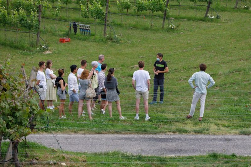 Lazise: Winery Tour with Garda Wines and Food Tasting - FAQ