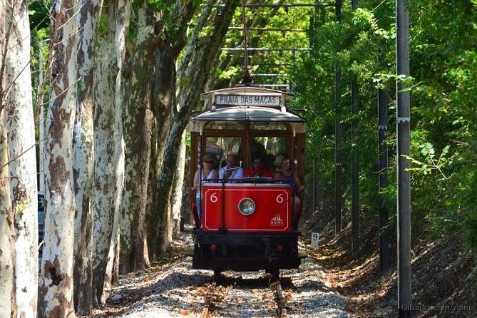 Lisbon Half-Day Tour - Final Thoughts: Is It Worth It?