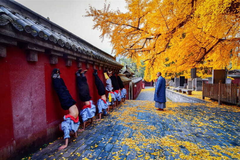 Louyang Day Tour from Xian: Longmen Grottoes, Shaolin Temple - Final Thoughts