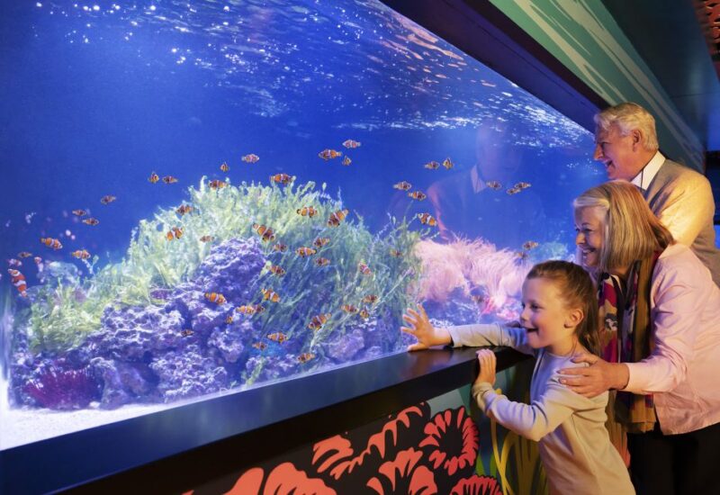 Mall of America: Sea Life Minnesota Aquarium Entry Ticket - The Sum Up