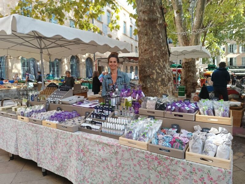 Marseilles and Aix-en-Provence Guided Tour - The Sum Up