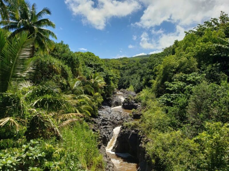 Maui: Road to Hana Adventure with Breakfast & Lunch - Final Thoughts