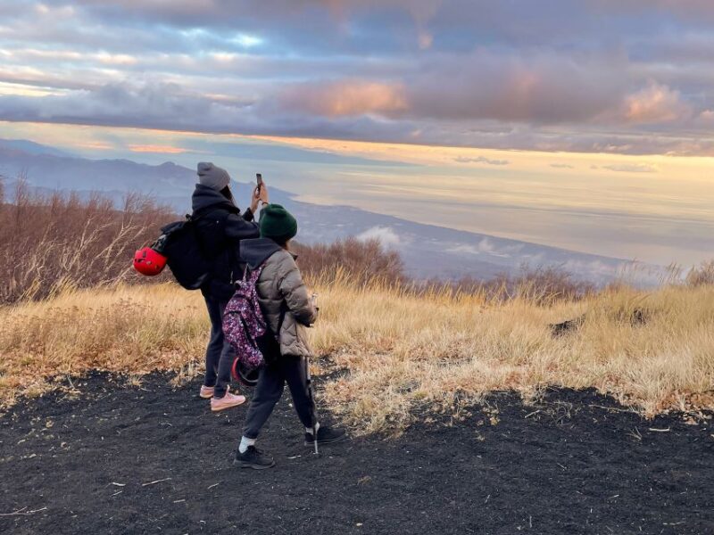 Mount Etna: Morning Excursion with an expert Local Guide - The Sum Up: Who Is This Tour Best For?