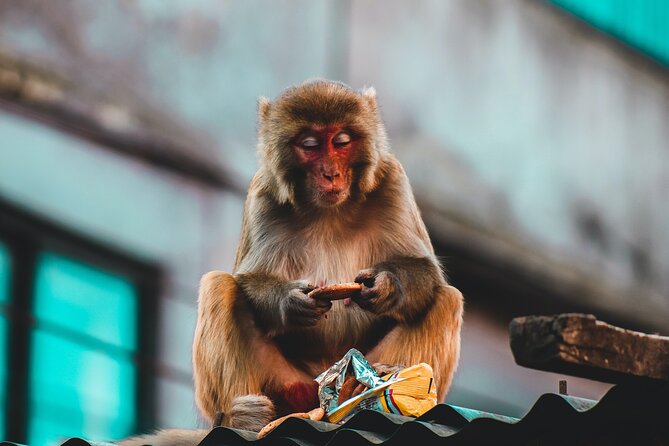 Nepal Cultural Highlights Tour in 10 Days - Day 9: The Old Town Charm of Bandipur and Final Day in Kathmandu