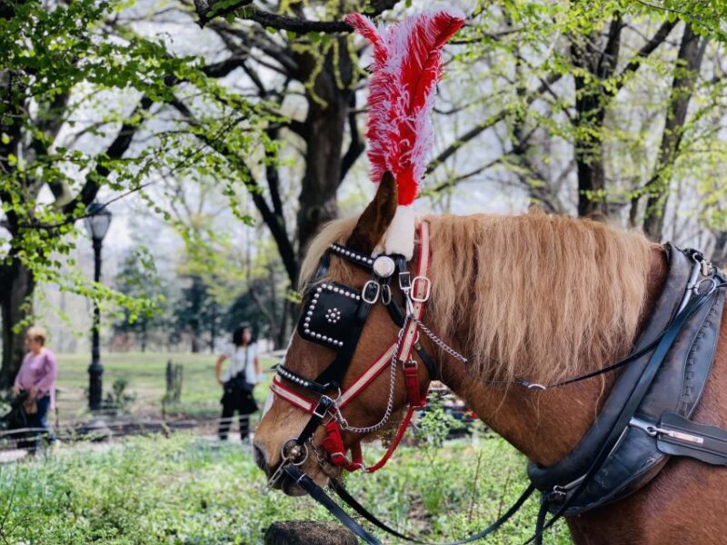 New York City: Central Park Private Horse and Carriage Tour - Authentic Experiences and Authentic Sightseeing