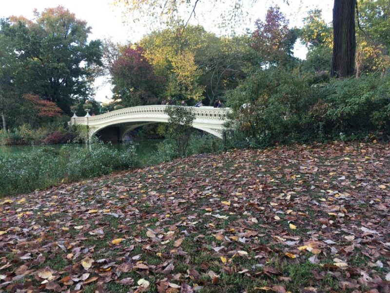 New York City: Central Park Tour by Pedicab - The Sum Up