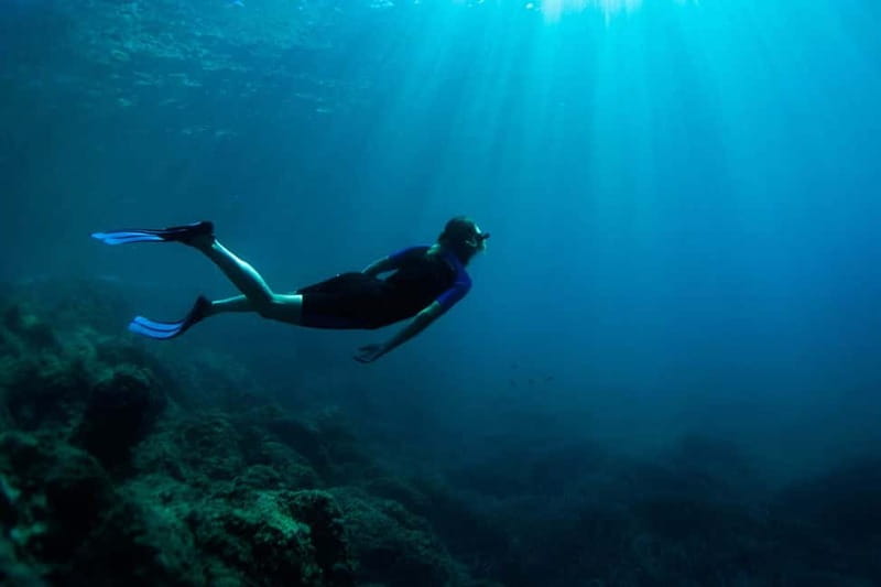 Nice: Snorkeling Speedboat Tour in Villefranche Bay - The Sum Up