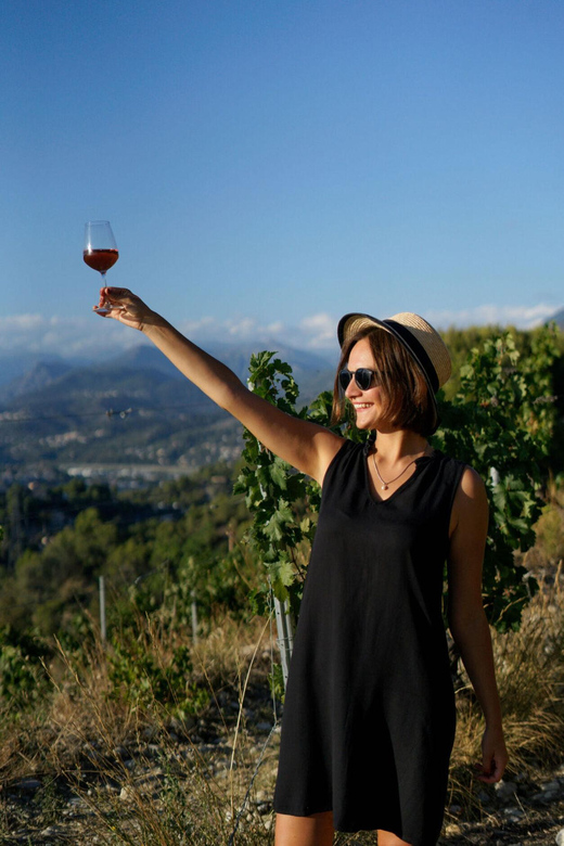 Nice: Vineyard Tour with Wine Tasting - Final Thoughts
