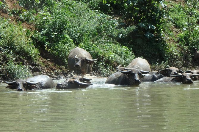No.1 Chiang Mai: Leisure River Kayaking: Mae Taeng forest Reserve - The Sum Up