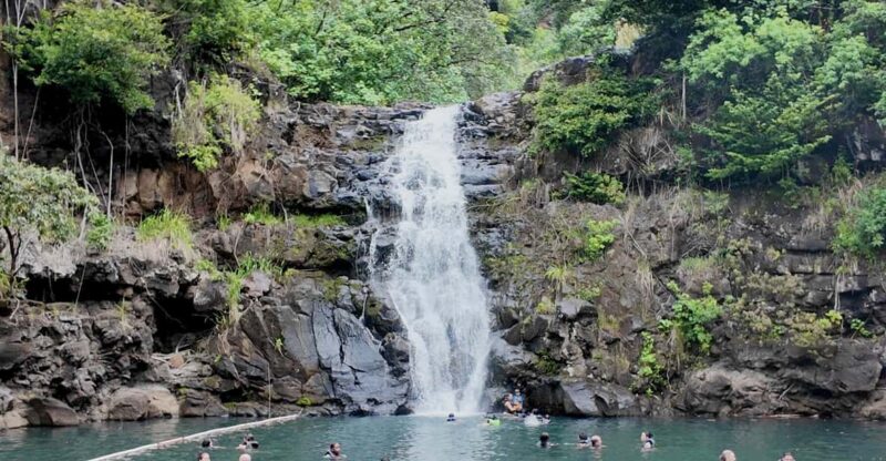 Oahu: Private Tour-North Shore feat. Waimea Falls - FAQ