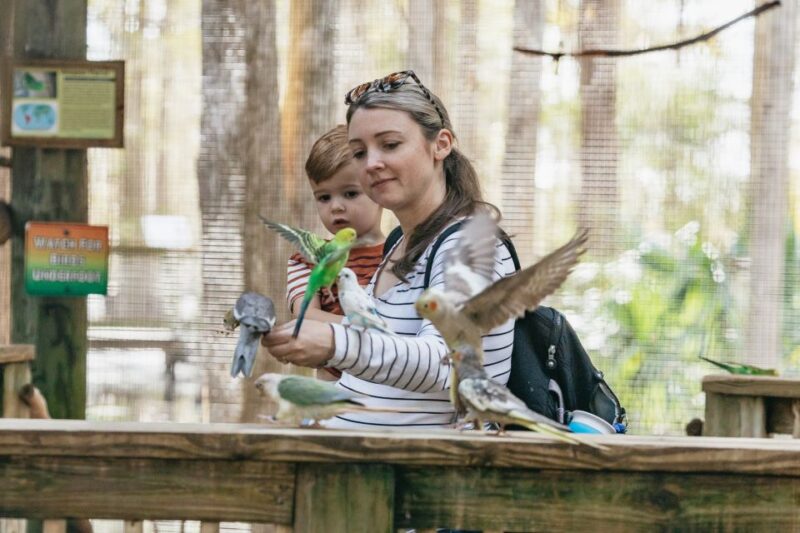 Orlando: Drive-Thru Safari Park at Wild Florida - FAQ