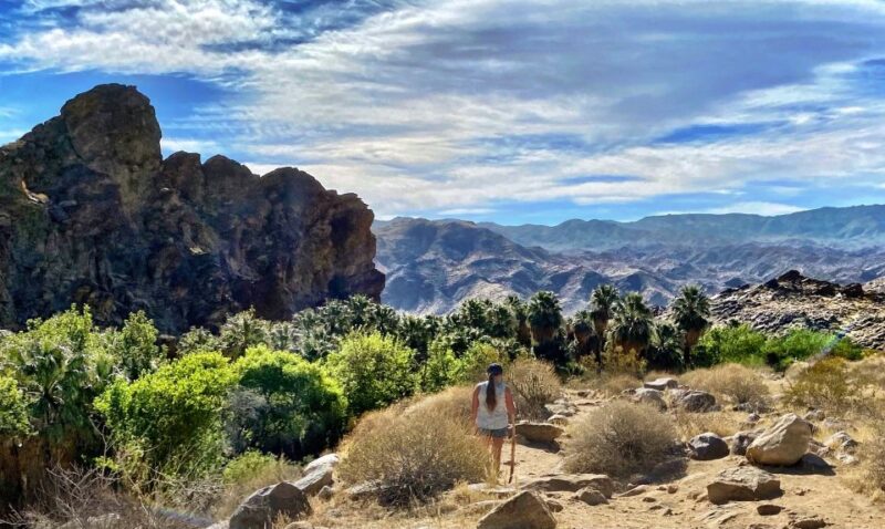 Palm Springs: Indian Canyons Jeep/Hiking Combo Tour - Final Thoughts
