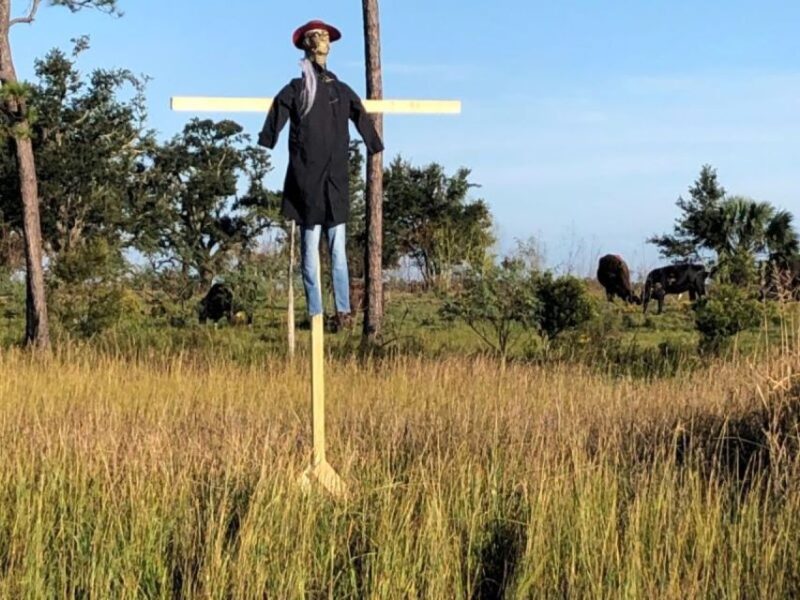 Pearlington, MS: The Haunted Bayou Cruise - Final Thoughts