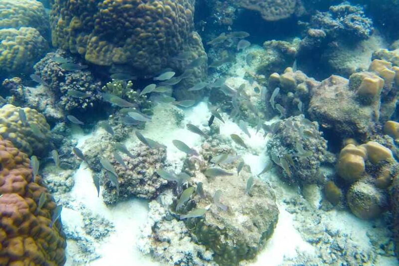 PHU QUOC TRIP 2: 2 ISLANDS BY BOAT - What’s Included and What’s Not