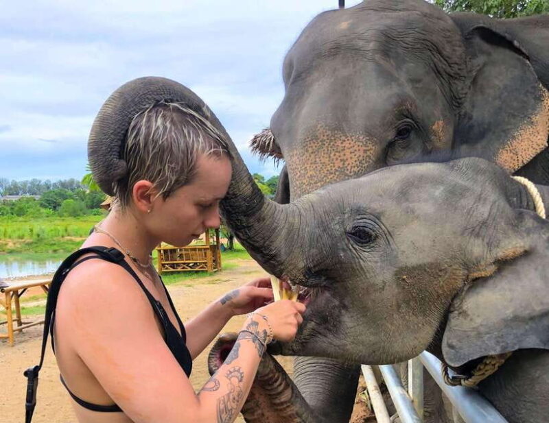 Phuket City Tour with Viewpoints, Temples & Elephant Feeding - The Experience Through the Lens of Past Travelers