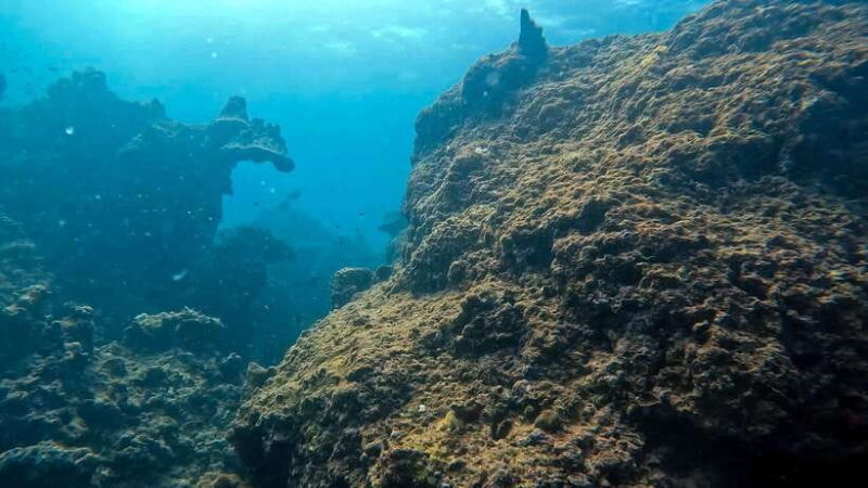 Phuket: Night Dive with Coral Reef from The G Beach Club - FAQs