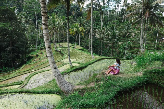 Private Bali Car Charter with Driver up to 6 People - FAQ