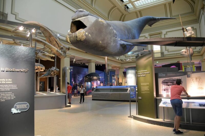 Private Guided Tour of The Natural History Museum - Who’s It Best For?