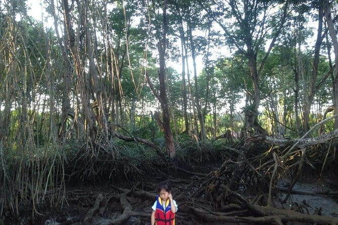Private Proboscis Monkey Tour - FAQs