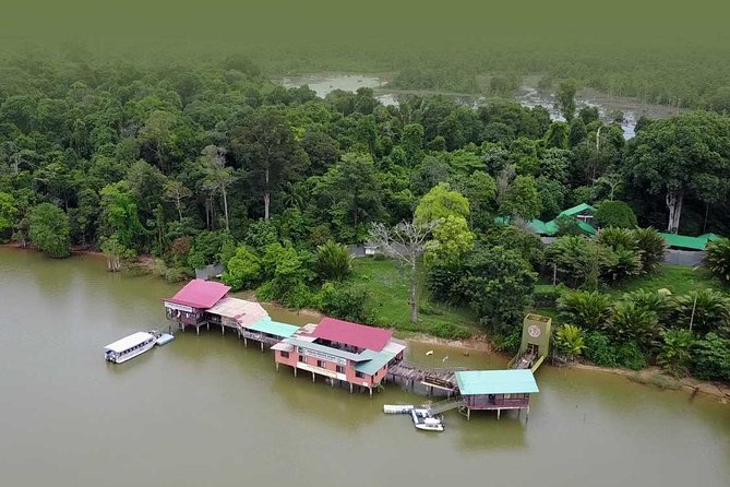 Private Tour : Orang Utan Island & Perak Cave Temple from Kuala Lumpur - The Sum Up