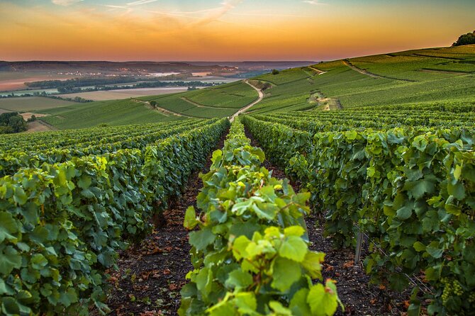 Private Transfer: Paris Airport CDG to Reims / Champagne by Van - FAQ